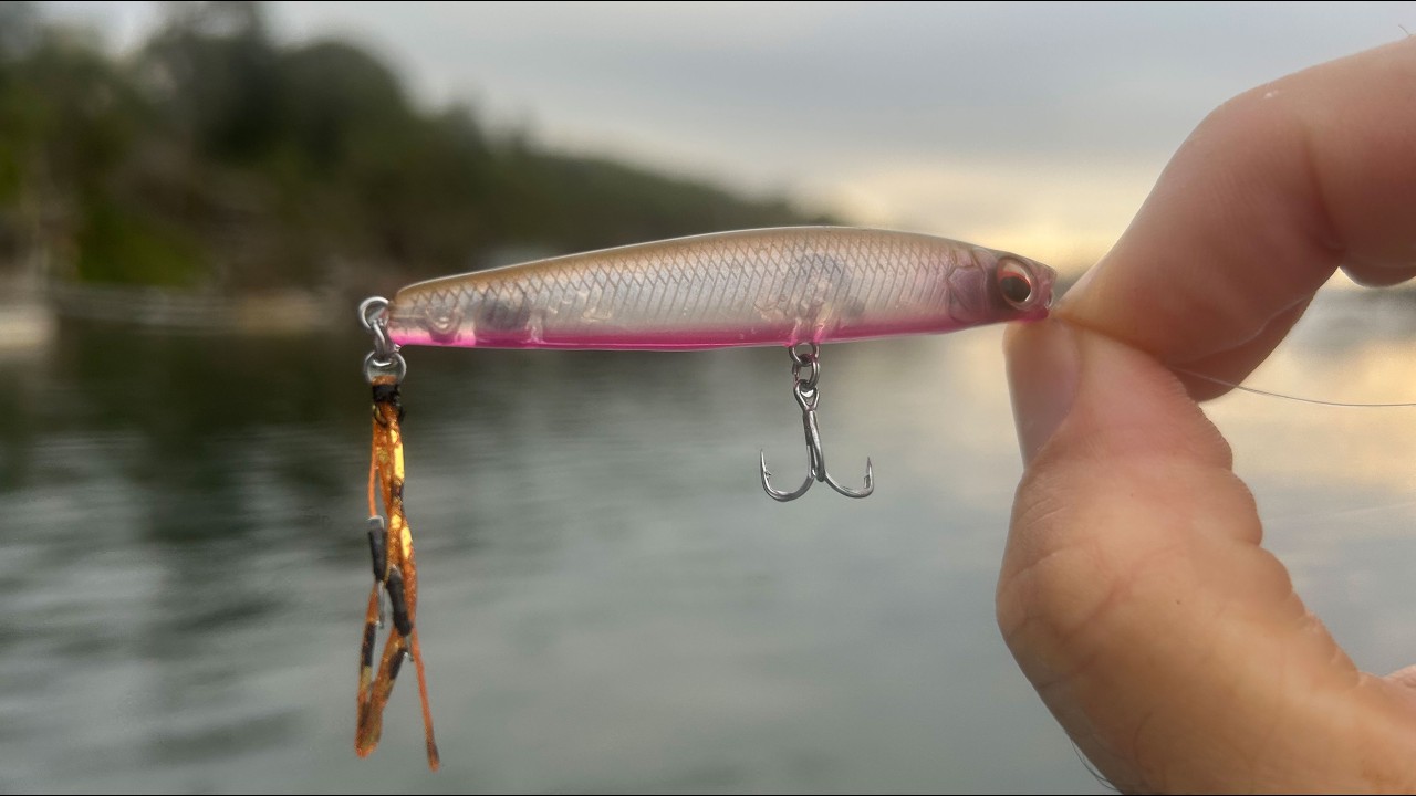 Is this the BEST TOPWATER LURE for Bream! - YouTube