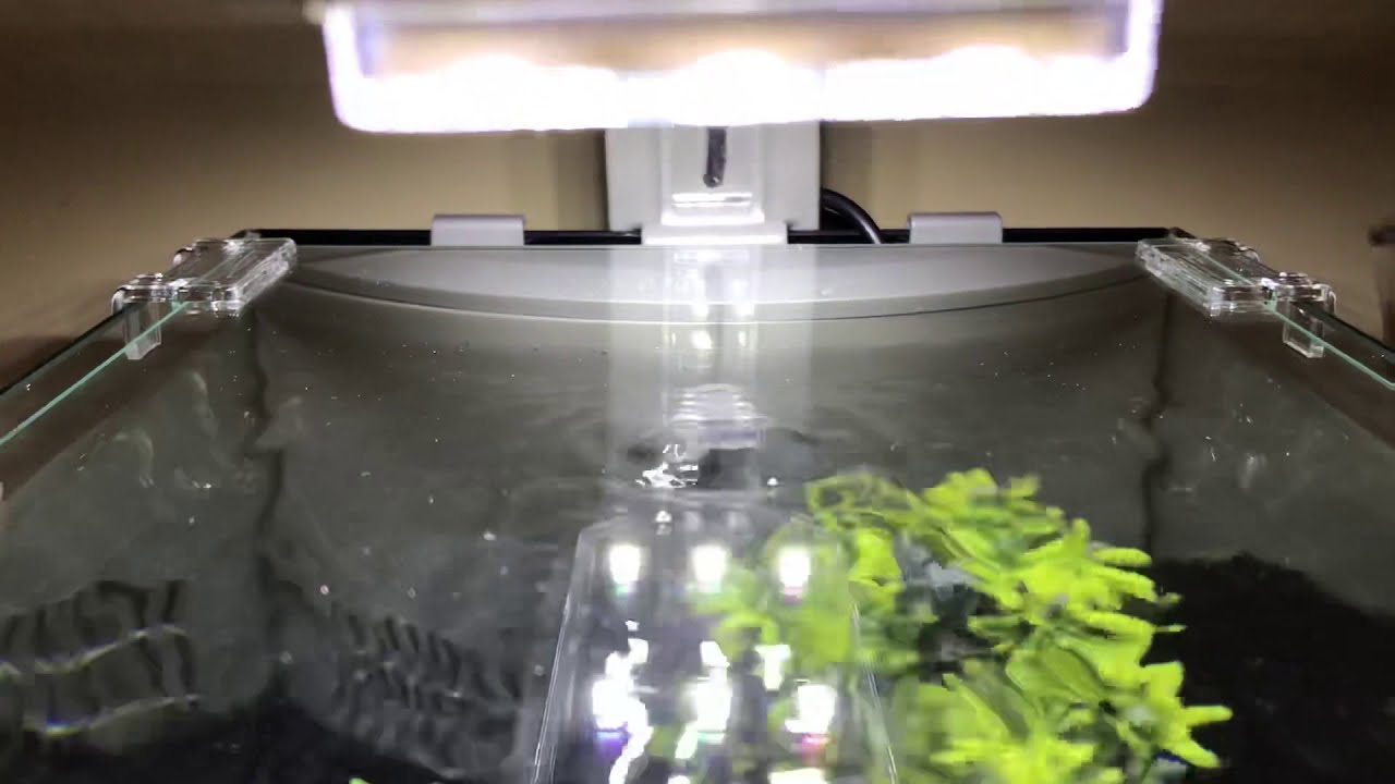 2.5 Gal. retreat top fin tank! - YouTube