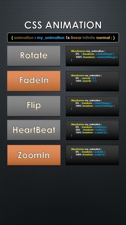 Css Daily Dose Animation Coding Cssanimation Css Programming Programmer Webdevproject