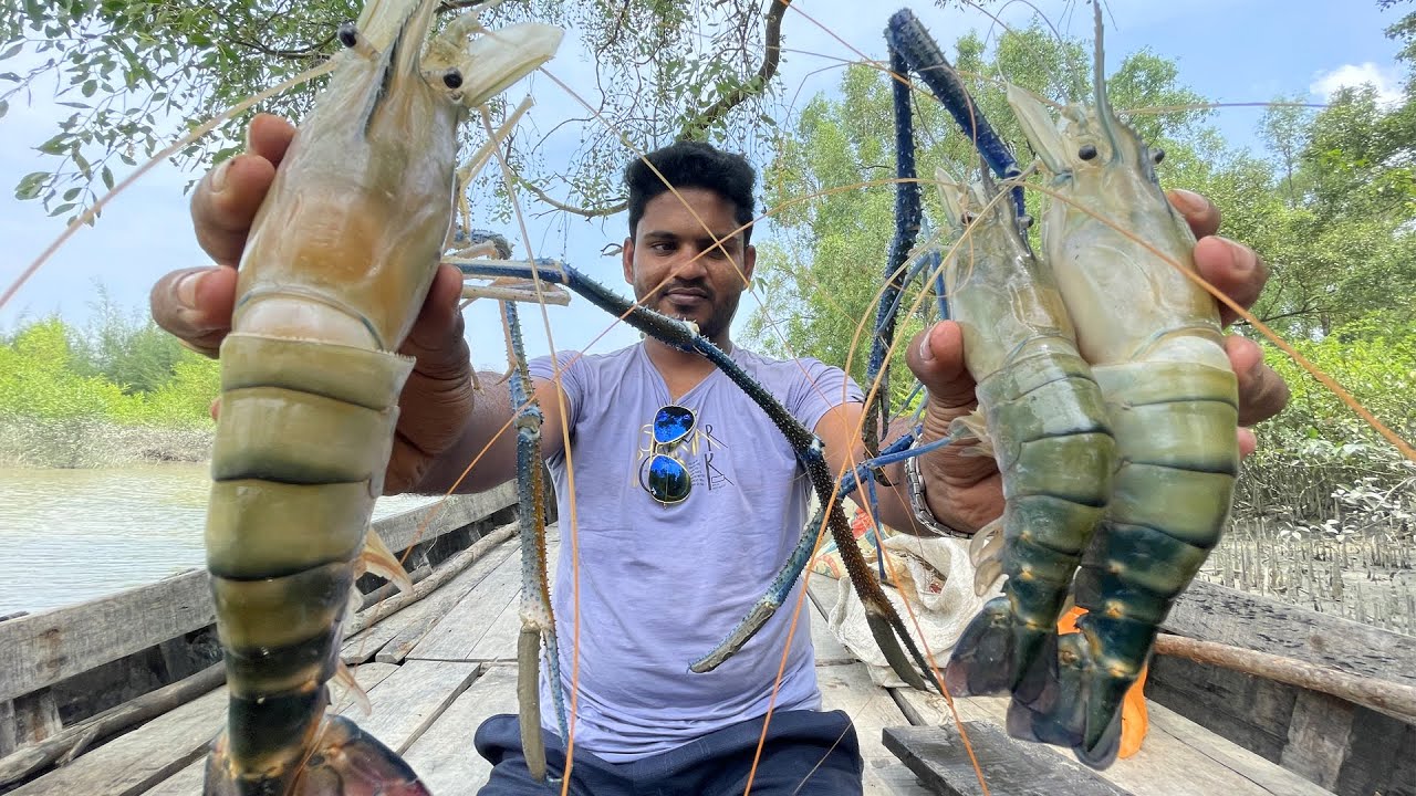 সুন্দরবনের গলদা চিংড়ি অমৃত স্বাদ | Golda Prawn Cooking in Sundarban ...