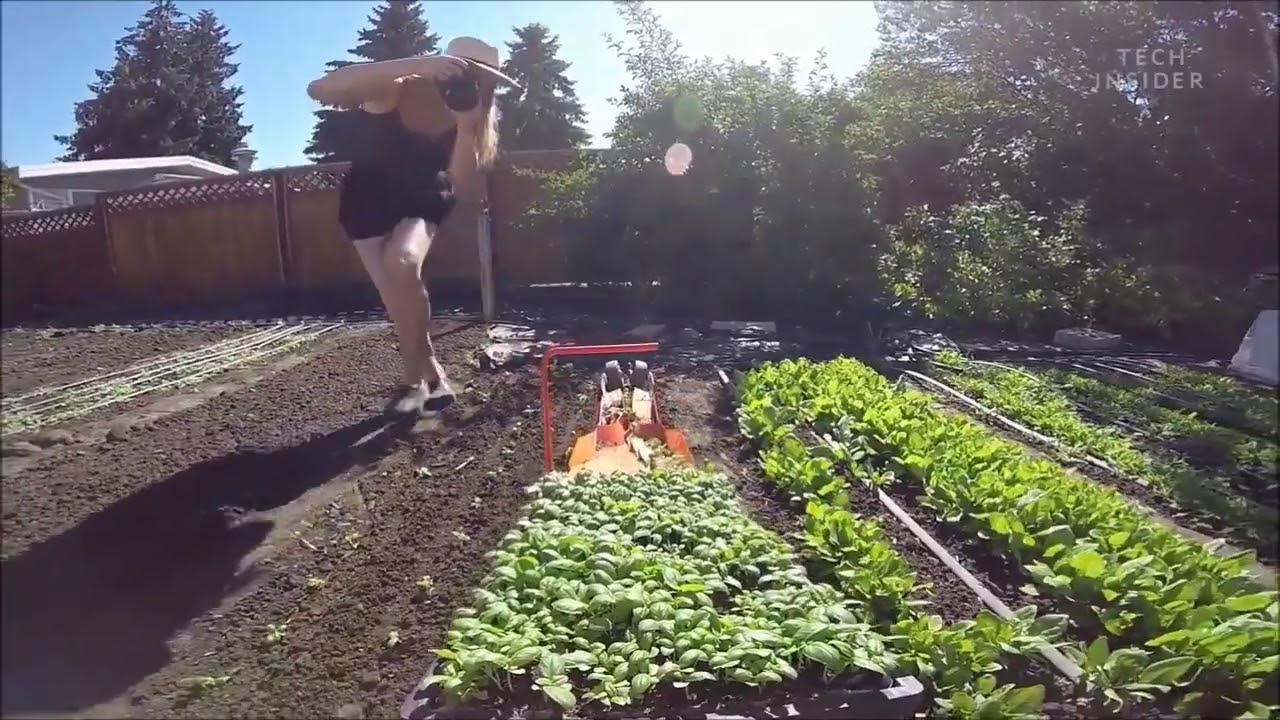 Japan's hand-powered machine to perfectly plant seeds - YouTube