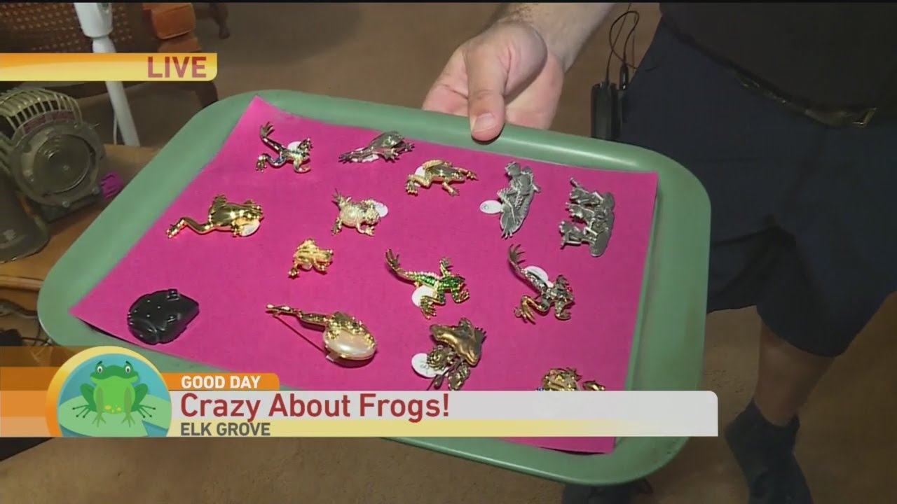 Frog Collection - YouTube