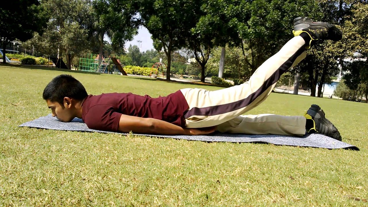 lower back prone alt leg raises - YouTube