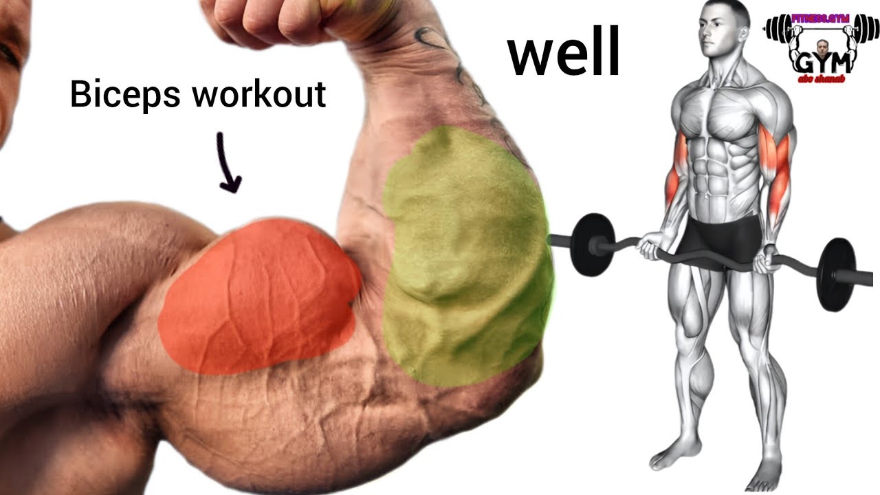 full Biceps workout gym _How to make your biceps bigger in just 30 days ...