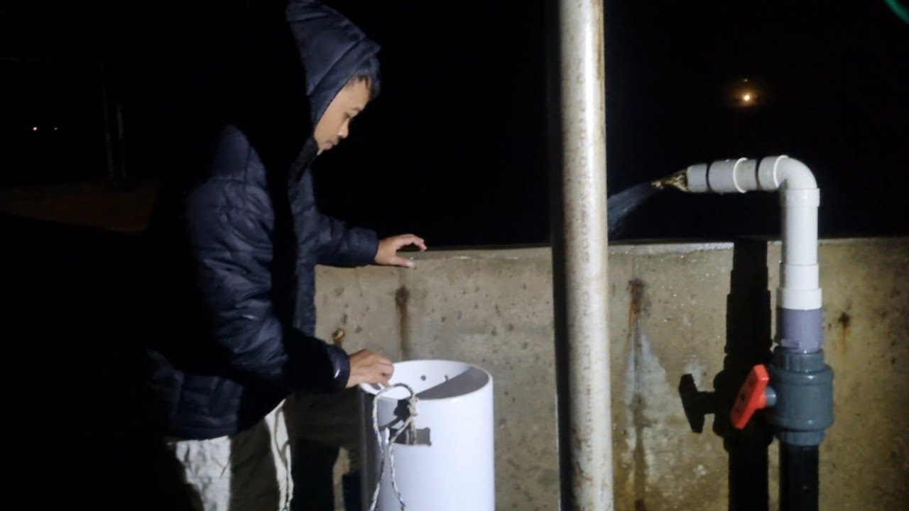 Kegiatan Rutin di Malam Hari Pekerjaan Sektor Fishing di Tambak Ikan ...