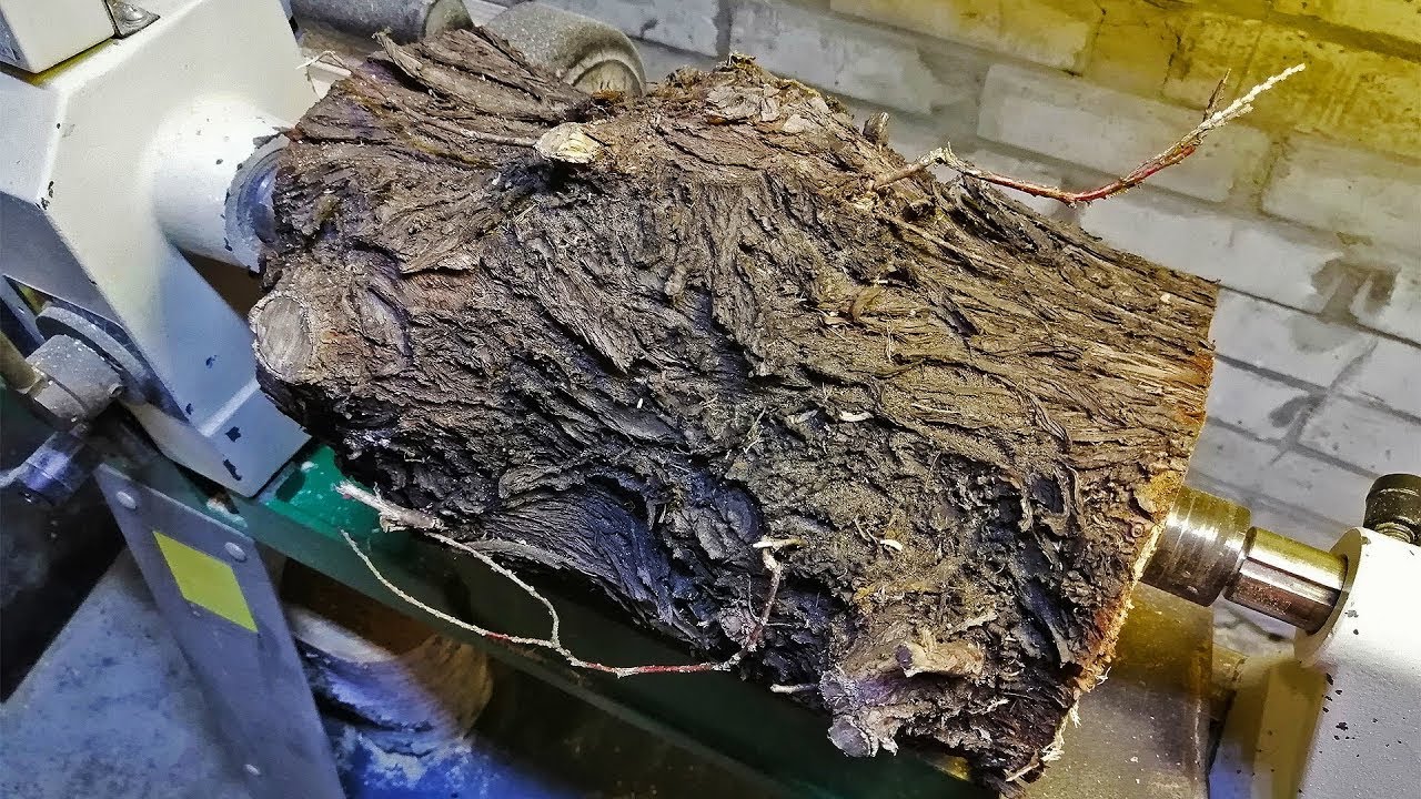 Tree Cutting Fails Dangerous skills Tree Falling , Compilation And ...