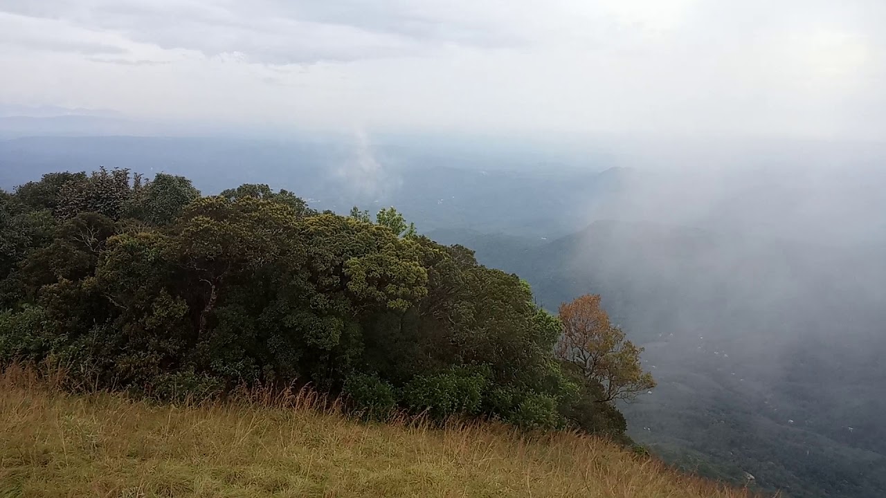 Paithalmala........🍃🍃🍃🍃🍃 - YouTube