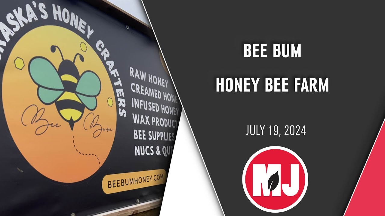 Bee Bum | Honey Bee Farm | July 19, 2024 - YouTube