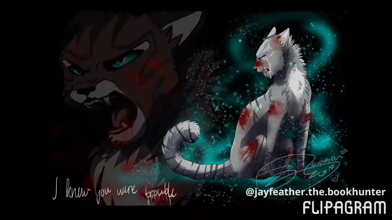 Warriors Ivypool x Hawkfrost- I knew you were trouble - YouTube