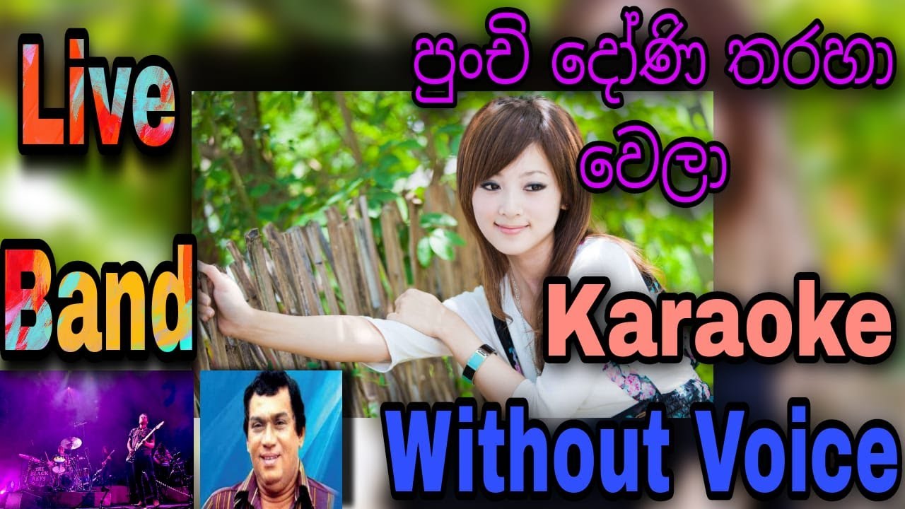 Punchi Doni Tharahawela Karaoke පුංචි දෝණිsinhala # H. R. Jothipala gee ...