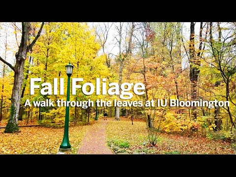You Can't Beat Fall Foliage At Indiana University - YouTube
