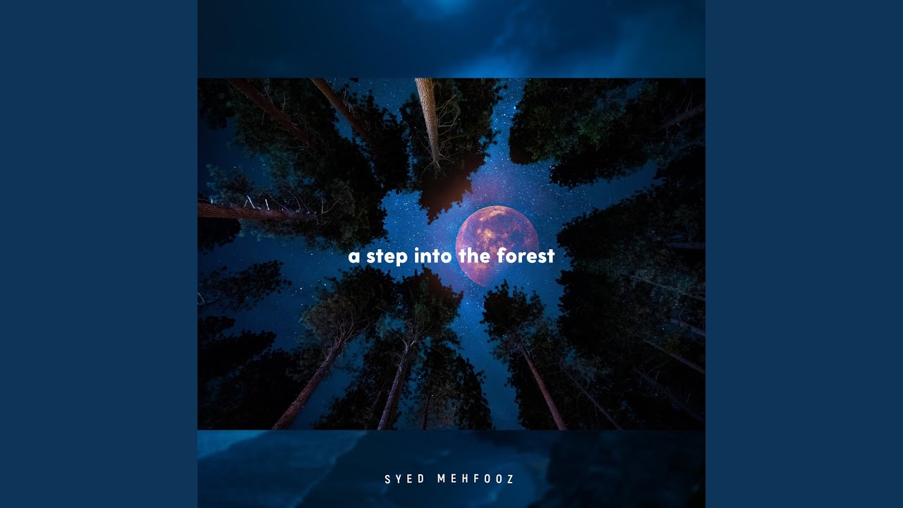 A Step into the Forest - YouTube