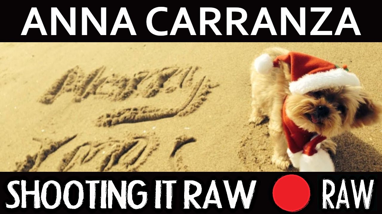 195 - Anna Carranza Shares Her World of Dogs and Magical Realism - YouTube