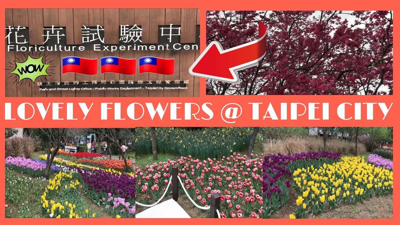 FLORICULTURE EXPERIMENT CENTER TAIPEI EXPLORATION ! || LIEZEL ECMIX TV ...