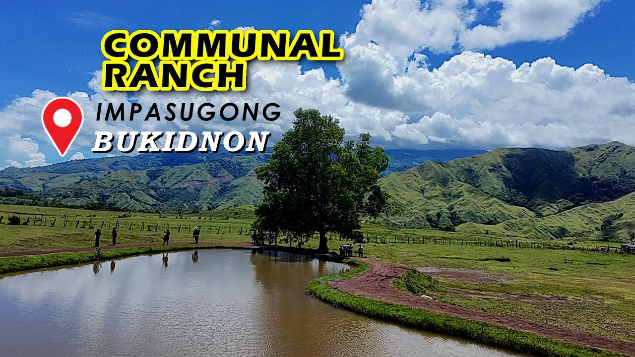 Impasugong Communal Ranch, Bukidnon - YouTube