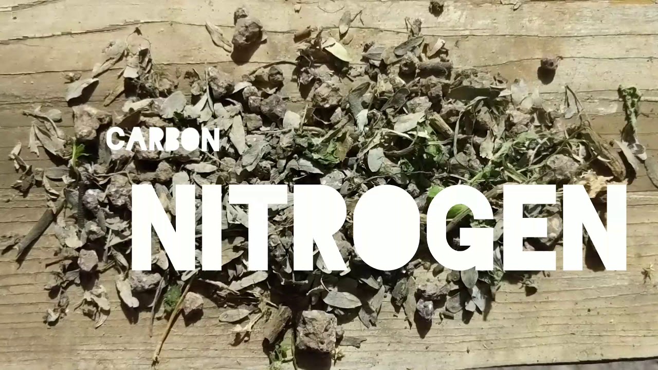 Thermophilic Composting 1 - Introduction - YouTube