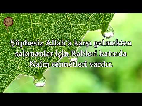 KALEM SURESİ okuyan İslam subhi