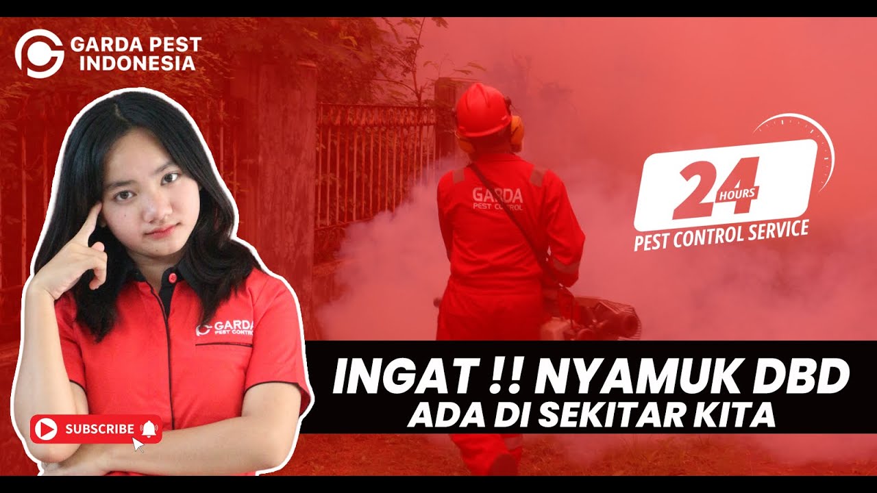 Jasa Fogging Nyamuk DBD Untuk Perkantoran | 0812 8009 2221 | Garda Pest ...