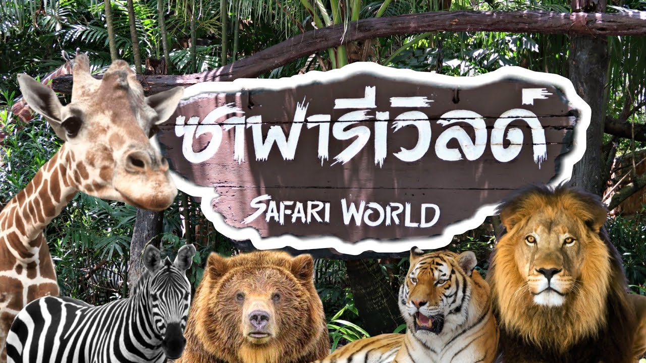 SAFARI WORLD ADVENTURE | BANGKOK THAILAND - YouTube