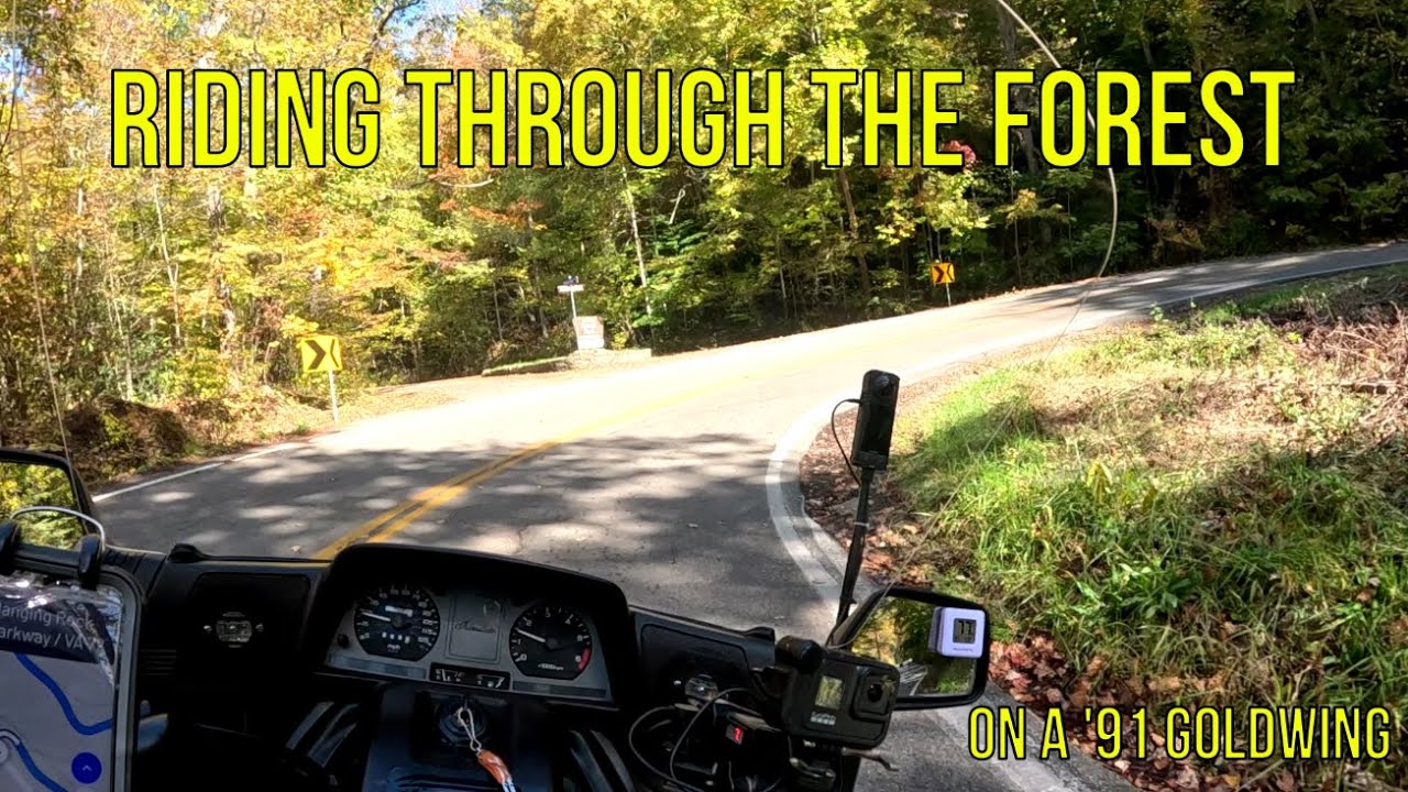 A Ride Through Jefferson National Forest - YouTube