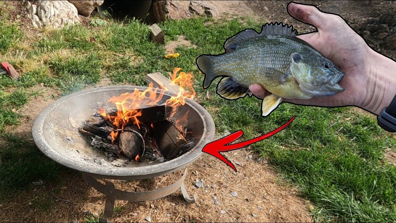 Multi-Species Sunfish CATCH AND COOK! | Ft: McCabe! - YouTube