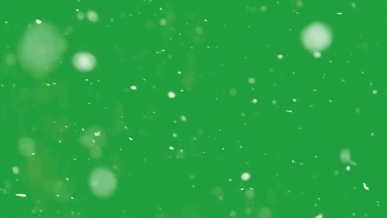 Snow Green Screen Effect Real Falling Snow HD #greenscreen #snow # ...