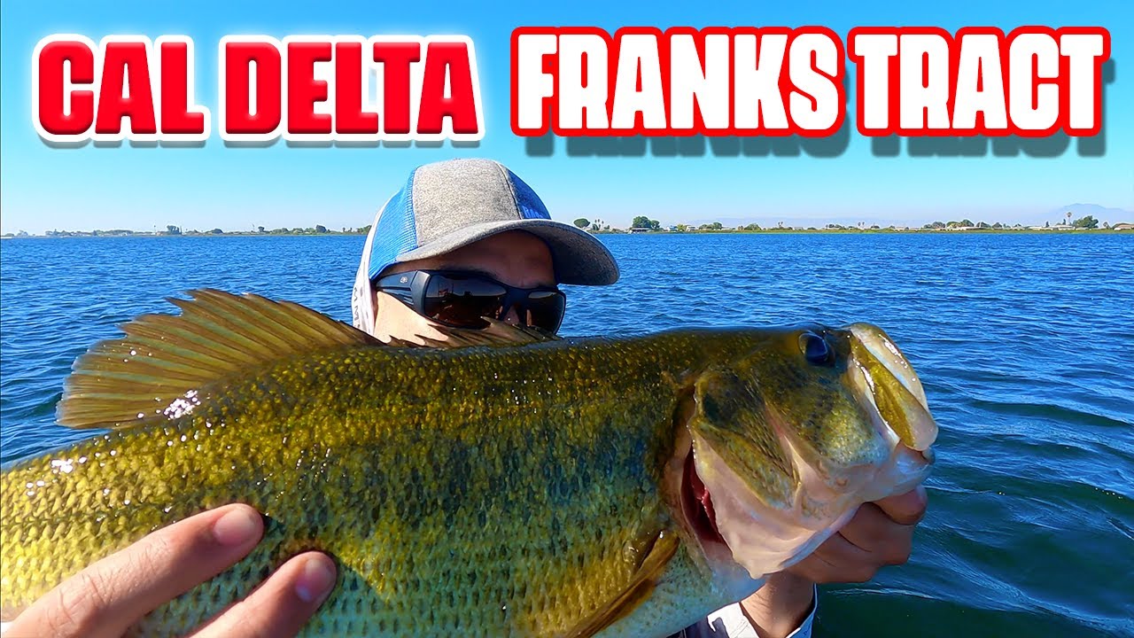 California Delta Franks Tract. - YouTube