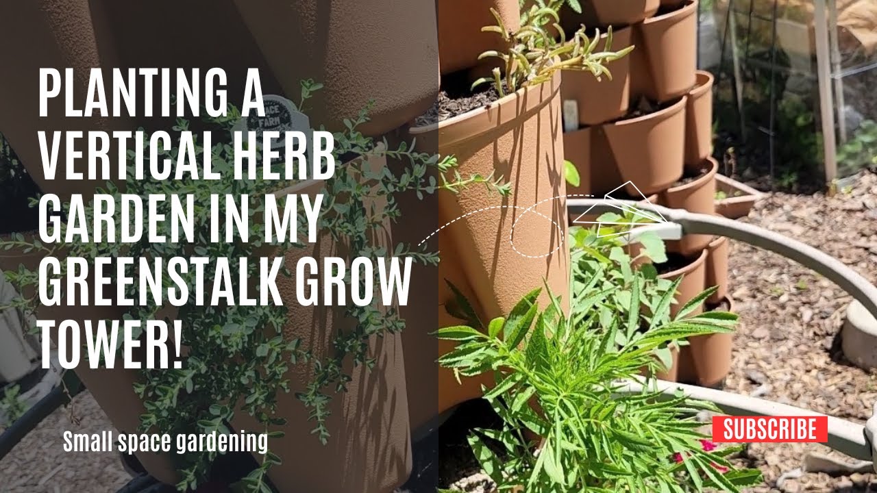 Watch Me Create A Stunning Vertical Herb Garden | Using A Greenstalk ...