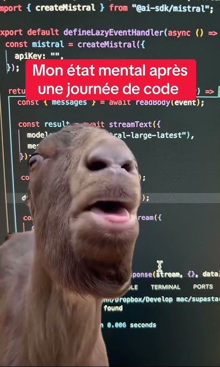 Mon état mental après une journée de code #webdeveloper #fyp #javascript #frontenddeveloper ...