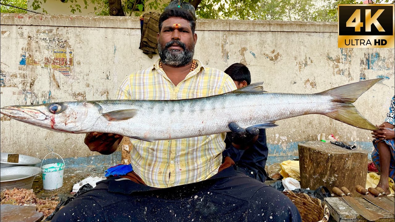 Sila fish cutting video/fishcuttingrs#kasimedu #fishcuttingrs #fish ...