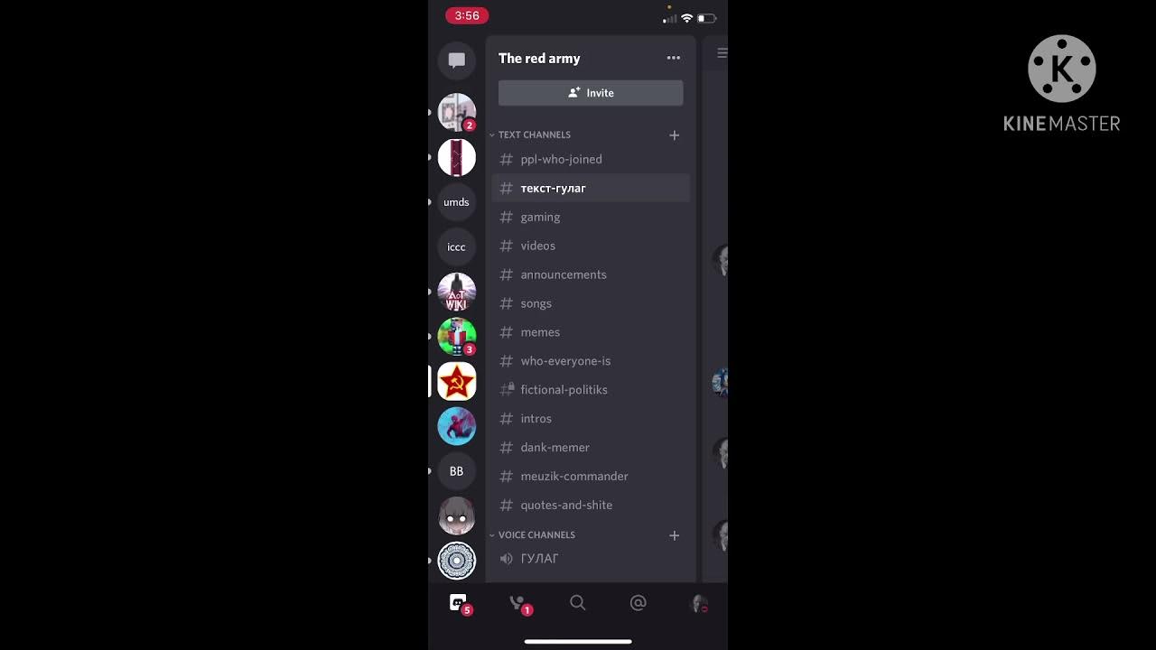How to give someone admin perms on a discord server on mobile - YouTube