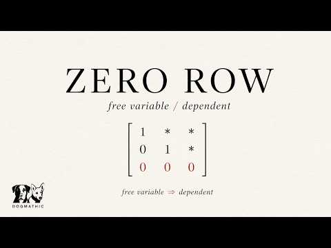 The Zero Row That Killed Linear Independence | #mathmachinelearning | #linearalgebra | #dogmathic