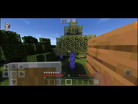 first minecraft - YouTube