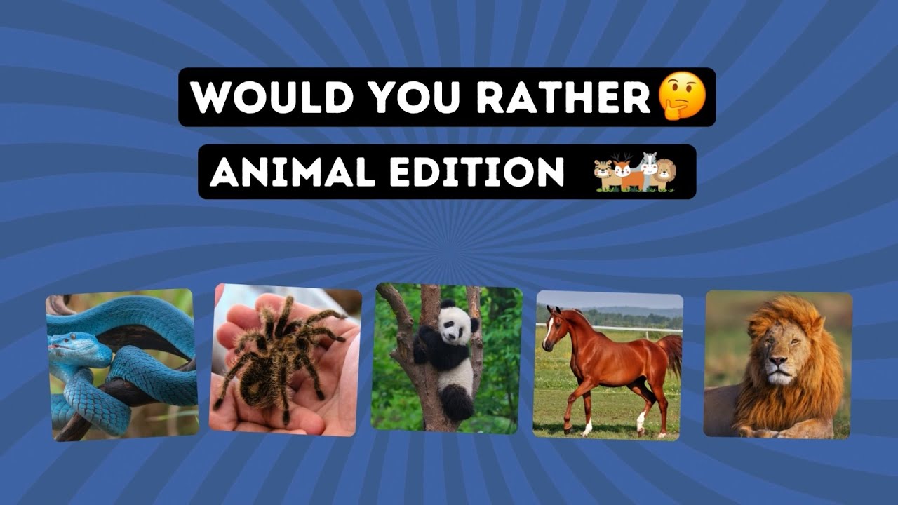 Would You Rather..... Animals Edition! 🐱🐶 - YouTube