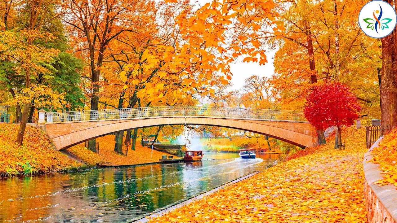 Beautiful Relaxing Music, Peaceful Soothing Fall Music, "Morning Cool ...