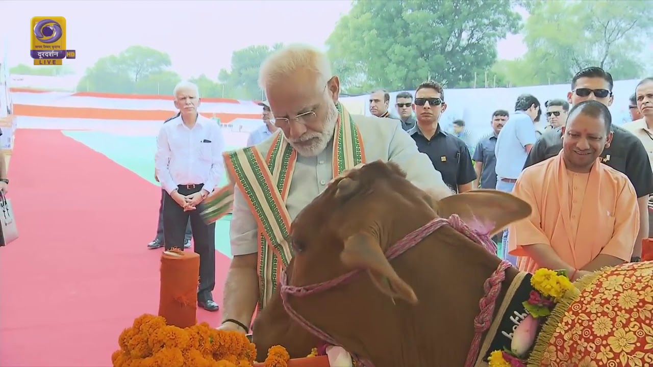 Honourable PM Narendra Modi ji conducted Gau Pujan of Hetha's Sahiwal ...