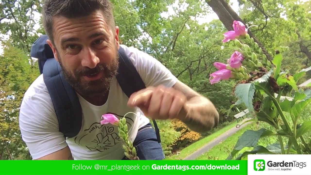 Michael Perry takes us on a tour of New York Botanical Garden - YouTube