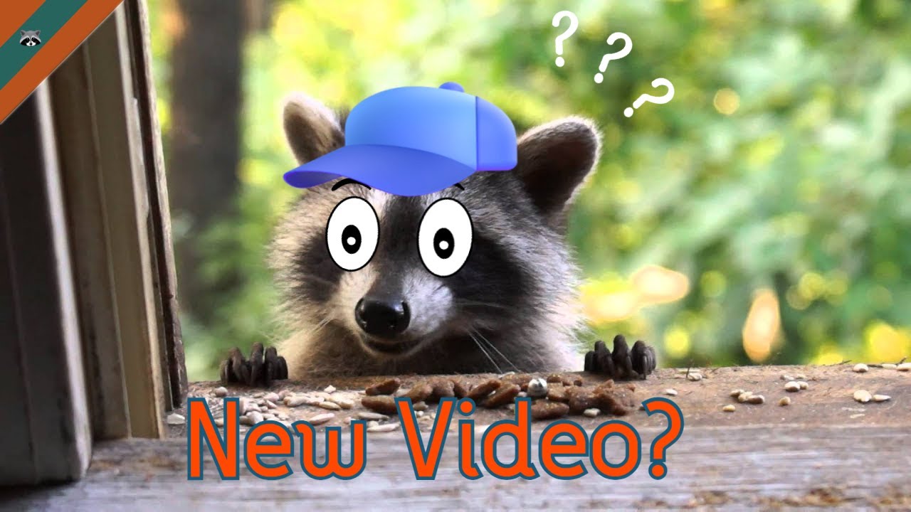 The Racc Pack Starting Something Big!? - YouTube