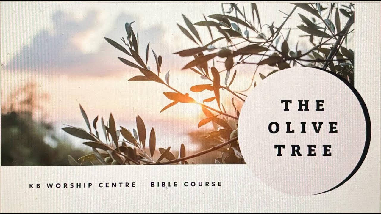 Bible Study Final week; Theme: The Olive Tree by Pastor Kashina ...