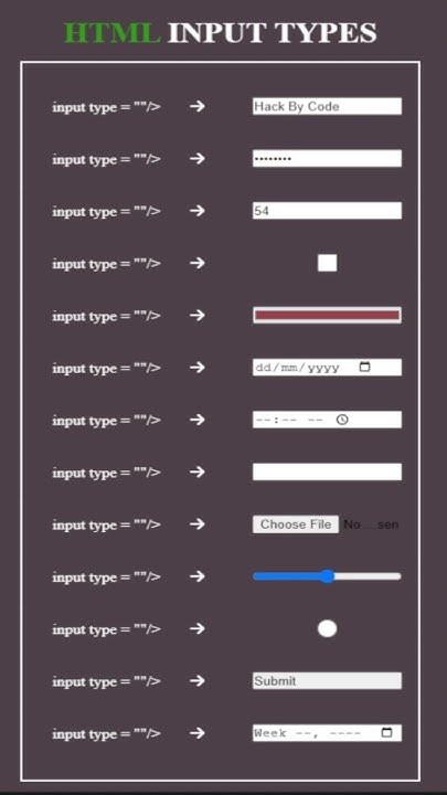 HTML Input Types Unveiled: What They Are and How to Use Them #webdesign #python #coding - YouTube