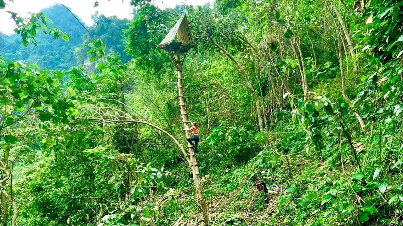 Girl builds a tree house and survives alone in the rainforest - YouTube