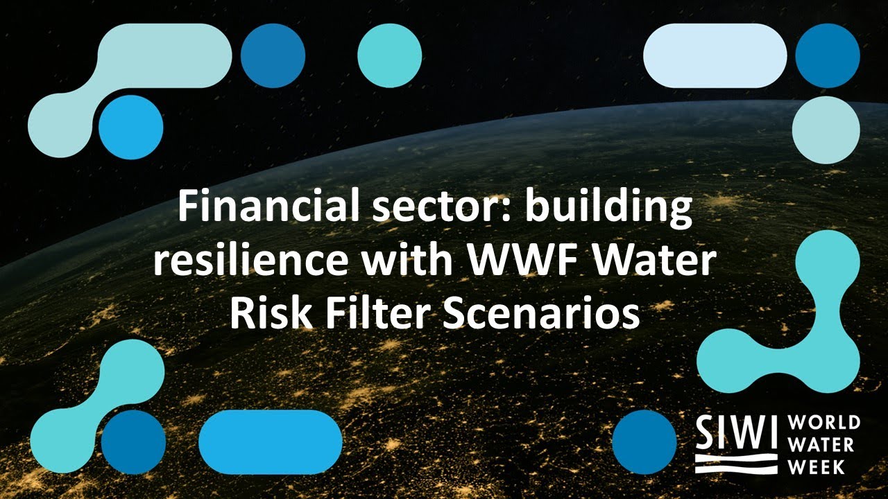 Financial sector: building resilience with WWF Water Risk Filter ...