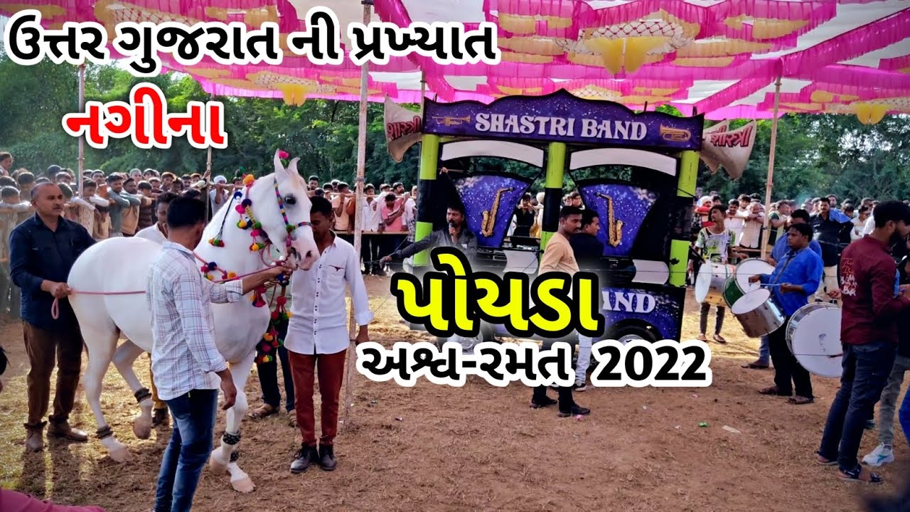 poyda horse dance 2022 નગીના ઘોડી પોયડા #horsedance2022 - YouTube
