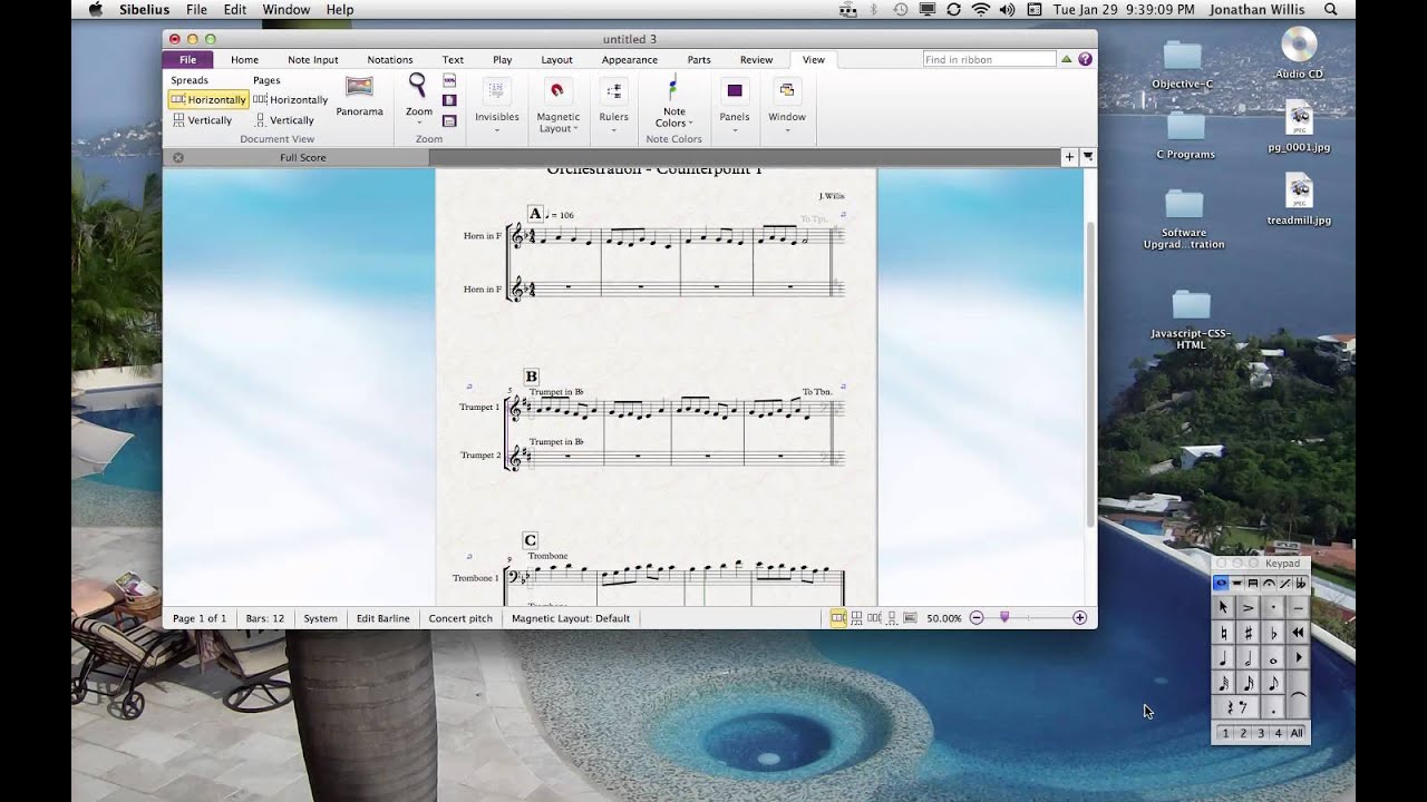 Sibelius Notation Tutorial 5: Adding Stave Text, Music Copy, Octave ...