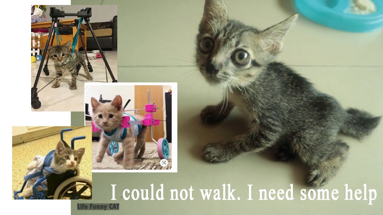 I could not walk | Video#28 I need some help - YouTube