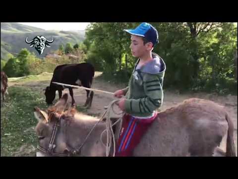 KÖYÜN EN HIZLI ARACI Mr 4 NAL VE EN HIZLI PİLOTU