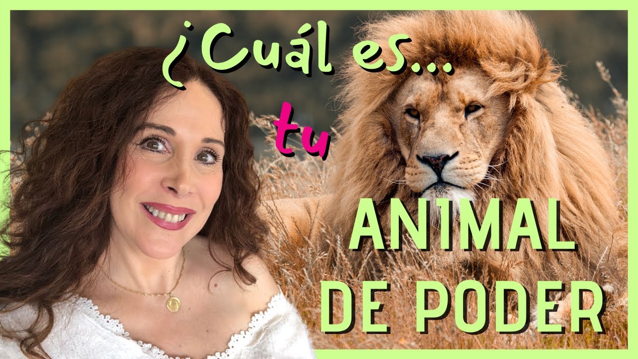 ¿Qué son los animales de poder y cómo nos ayudan? - YouTube