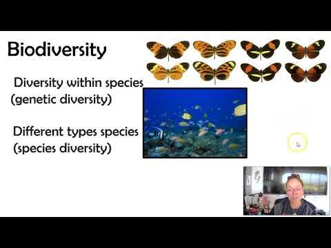 AP Biology Topic 8.6 Biodiversity - YouTube