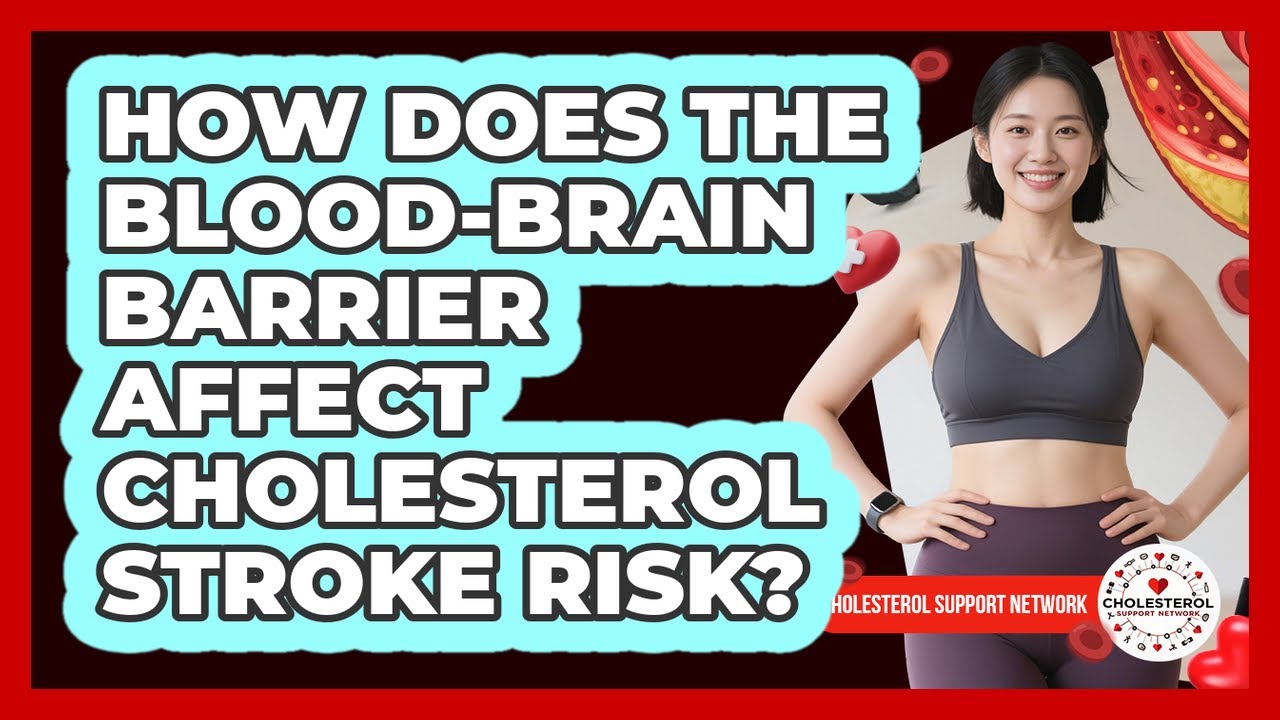 How Does The Blood-brain Barrier Affect Cholesterol Stroke Risk ...
