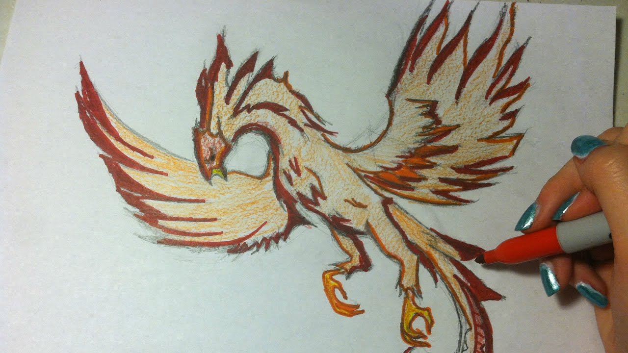 Epic Phoenix Drawing (High Speed) - YouTube